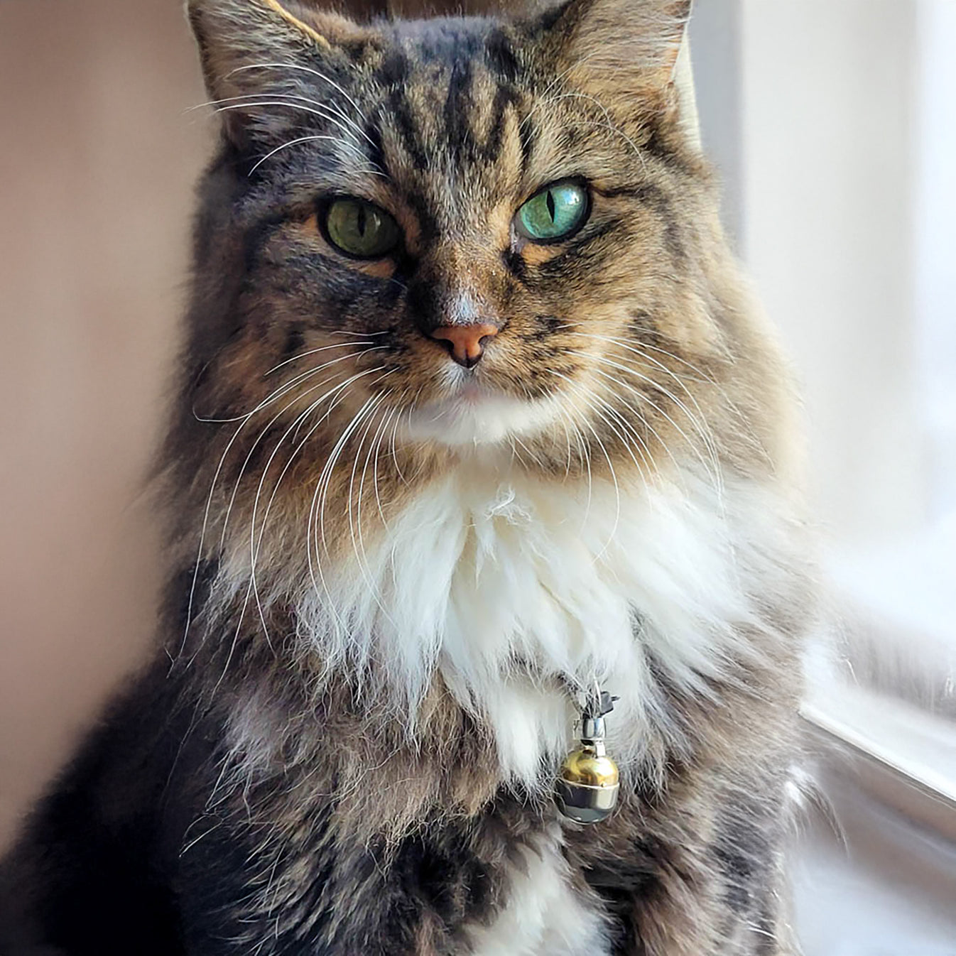 Handmade Cat Bell – Elegant, Loud & Lightweight for Safety – Noble Bells